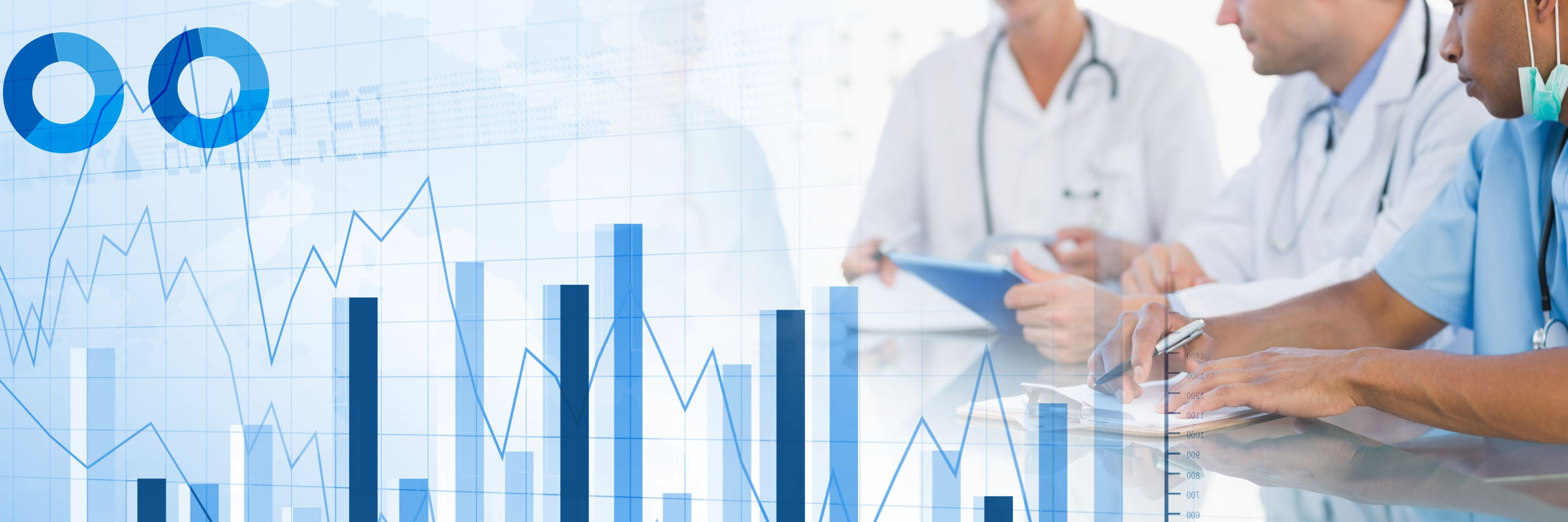 Hospital Business Reviews - Intermedika Consulting